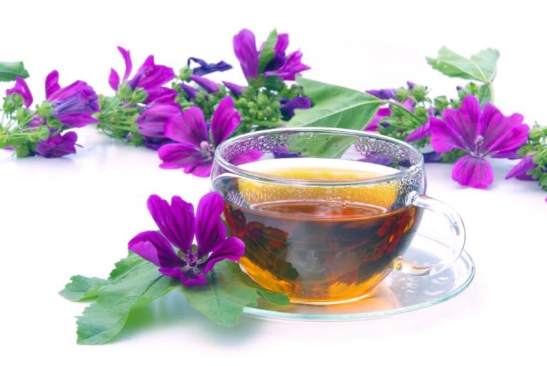 10 Surprising Health Benefits of Malva's tea | Health Tips