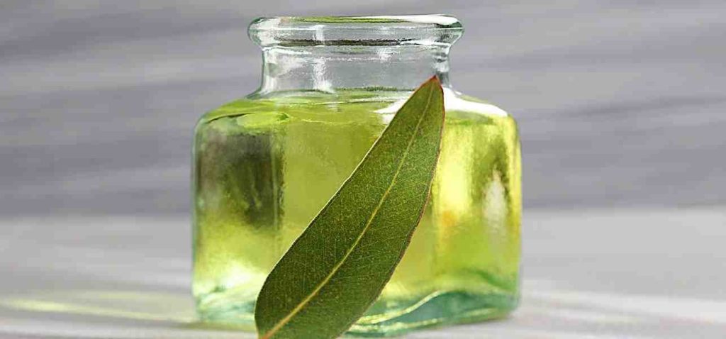 10 Proven Health Benefits of Eucalyptus Oil | Health Tips 10 Proven Health Benefits of Eucalyptus Oil | Health Tips