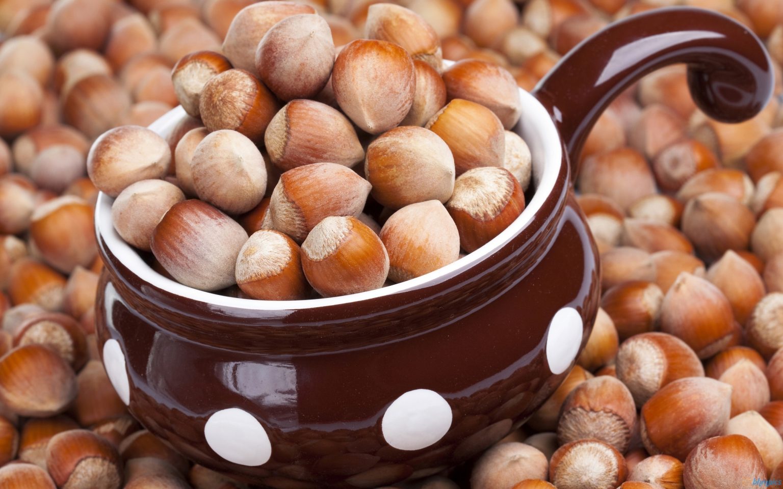 15 Proven Health Benefits of Hazelnuts | Health Tips