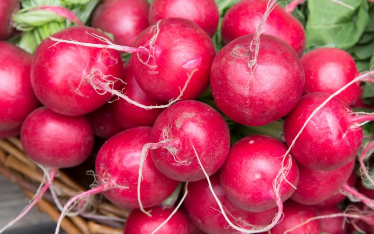 10 Proven Health Benefits of Radish | Health Tips