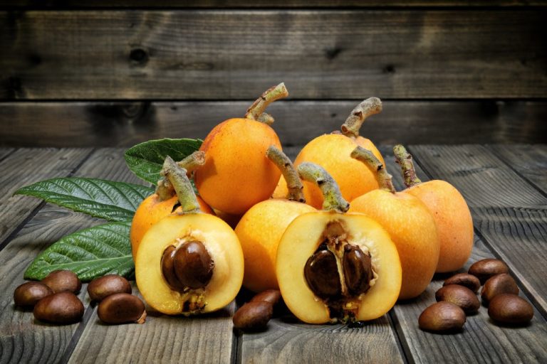 15 Proven Health Benefits of Loquat | Health Tips