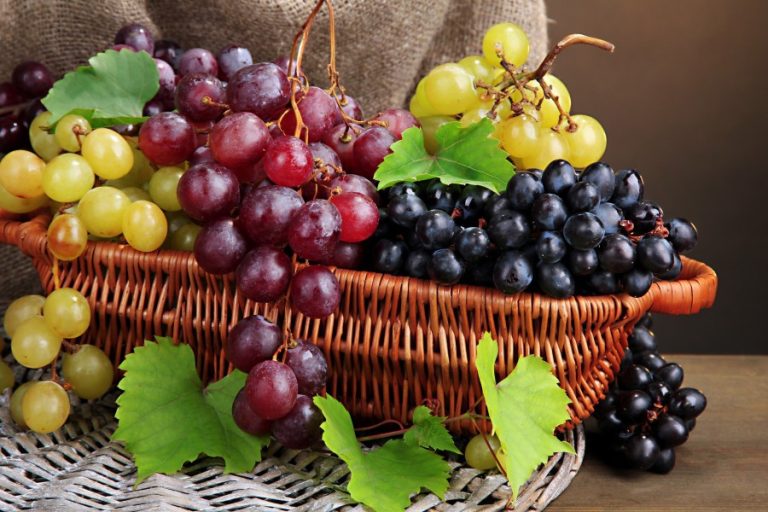 30 Proven Health Benefits of Grapes | Health Tips