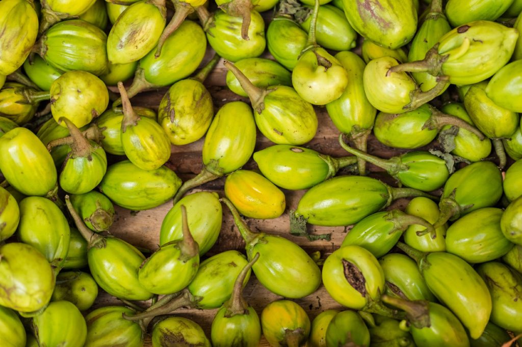 12 Proven Health Benefits of Jiló | Health Tips